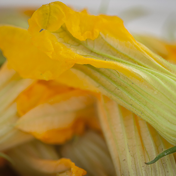 Simple Squash Blossoms - Santa Fe Farmers' Market Institute