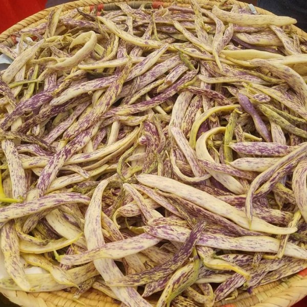 Dragon’s Tongue Beans and Recipe - Santa Fe Farmers' Market Institute