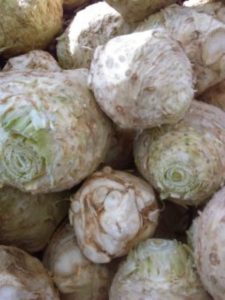 Fall is Officially Here! - Santa Fe Farmers' Market Institute