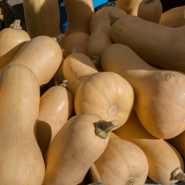 Savory Roasted Squash - Santa Fe Farmers' Market Institute