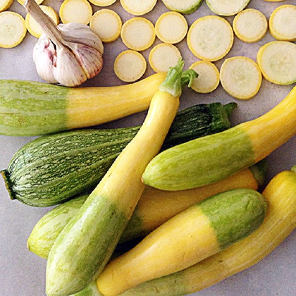 Zephyr Summer Squash - Santa Fe Farmers' Market Institute